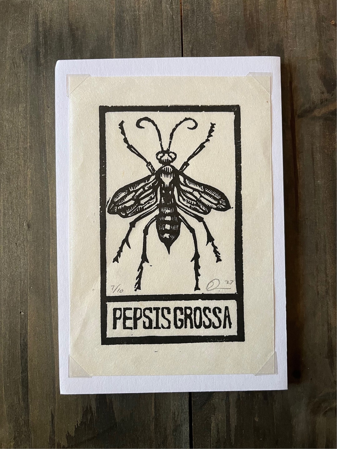 Original Linocut: Pepsis Grossa or Tarantula Hawk, Handprinted, Signed ...
