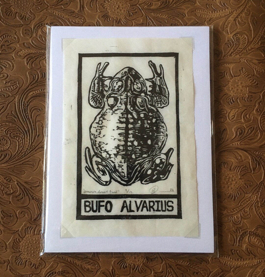 Bufo Alvarius or Sonoran Desert Toad Linocut Print Unframed Original ...