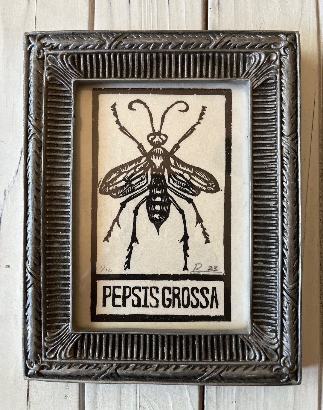 Framed Original Linocut: Pepsis Grossa or Tarantula Hawk, Handprinted ...