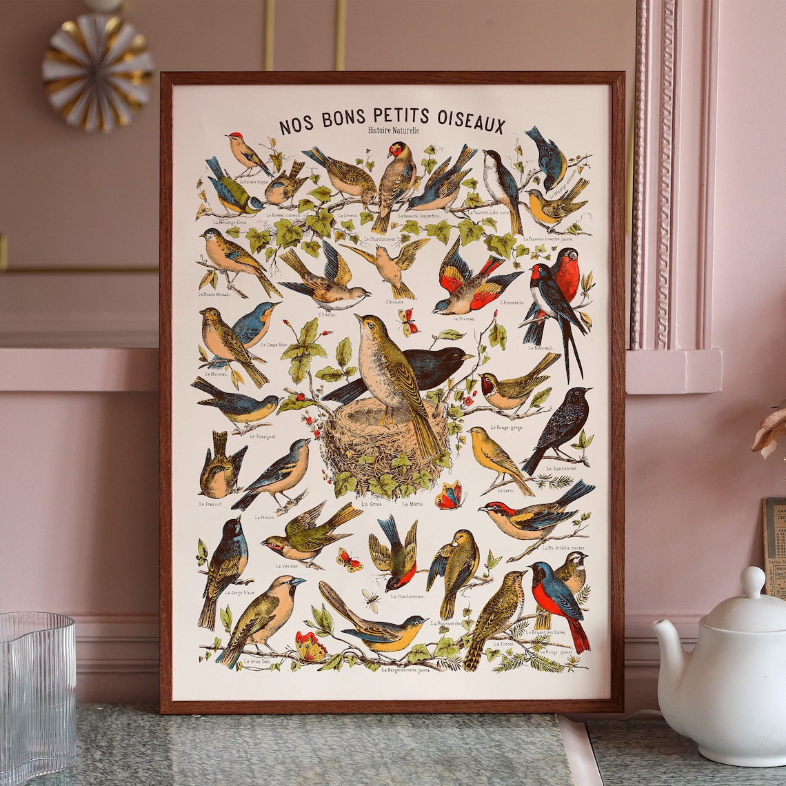 Nos Bons Petits Oiseaux - School Chart, Diagram / Poster / Print - Etsy