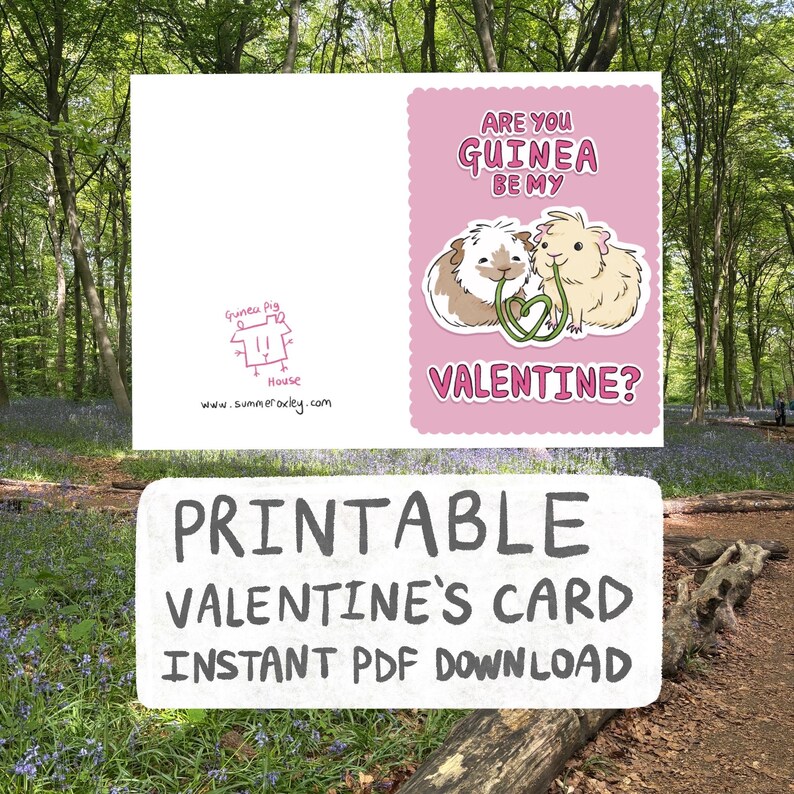 Guinea Pig Valentine Card Printable - Instant Download PDF to Print ...
