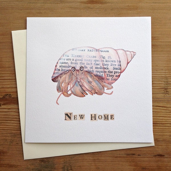 Hermit Crab New Home - Etsy