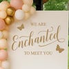 We're so Enchanted to Meet You Decal for Baby Girl Baby Shower Sign ...