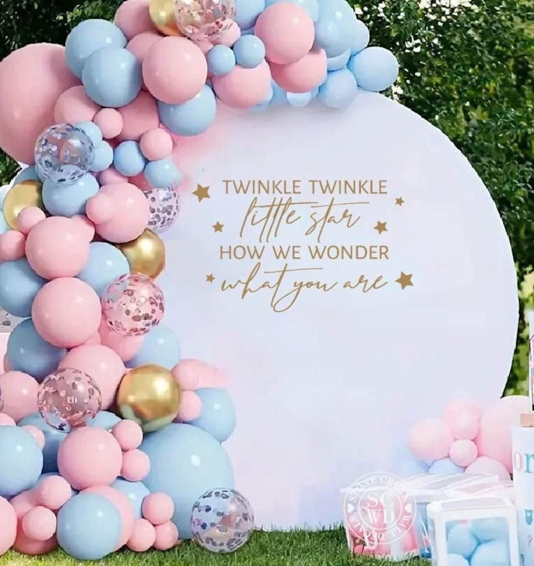 Twinkle Twinkle Little Star How We Wonder What You Are Gender Reveal ...