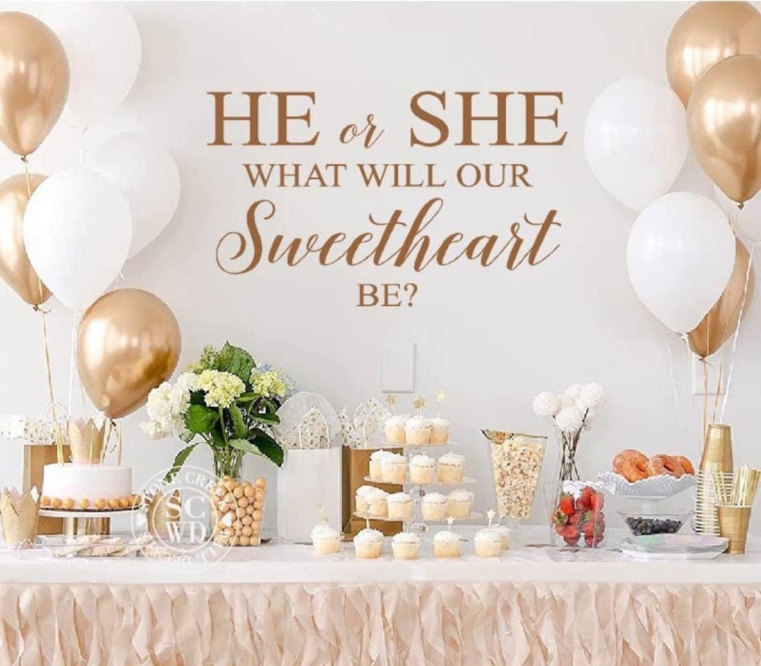 He or She What Will Our Baby Be Gender Reveal Party Decorations Decal ...