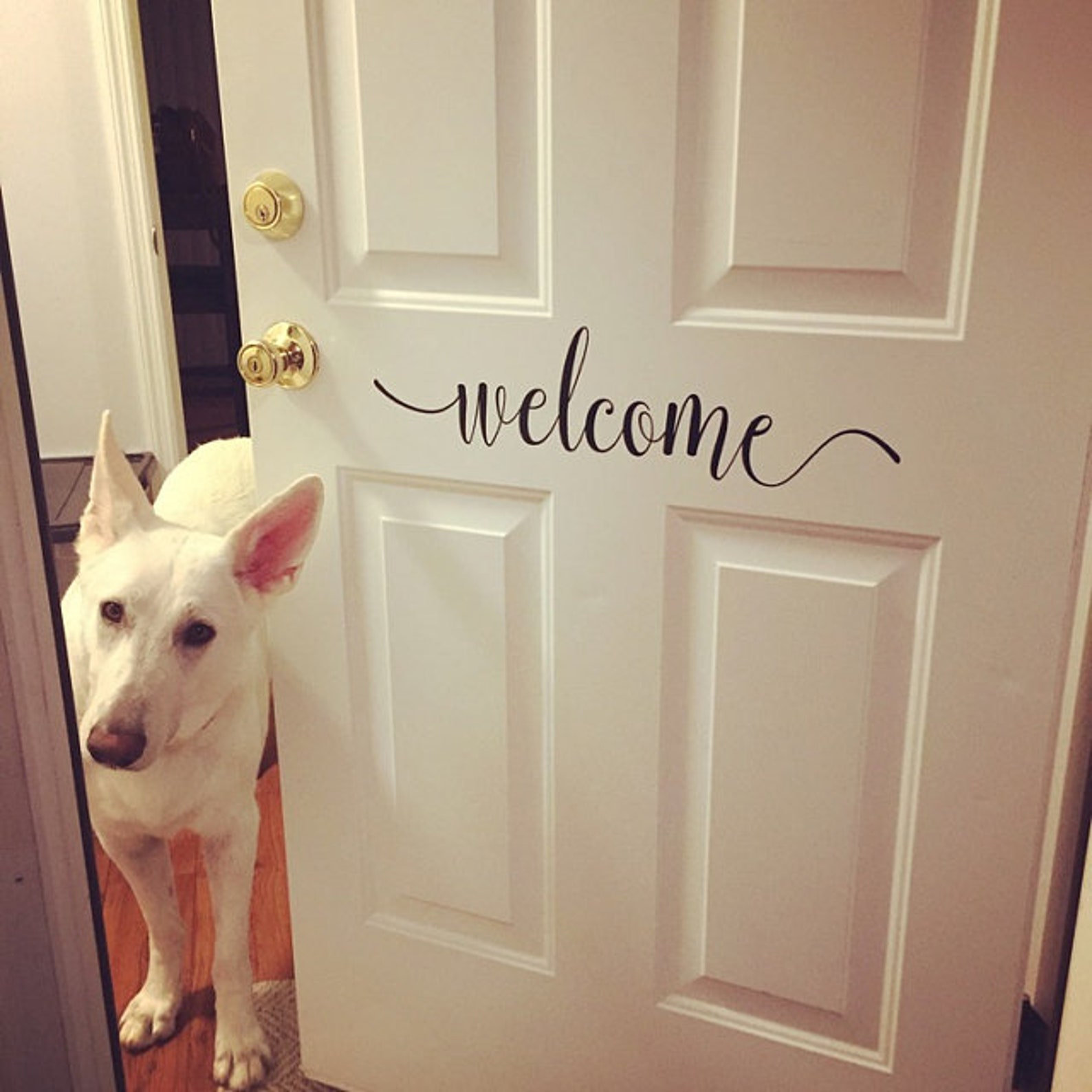 Welcome Door Decal Front Door Decal Welcome Vinyl Decal D024 - Etsy