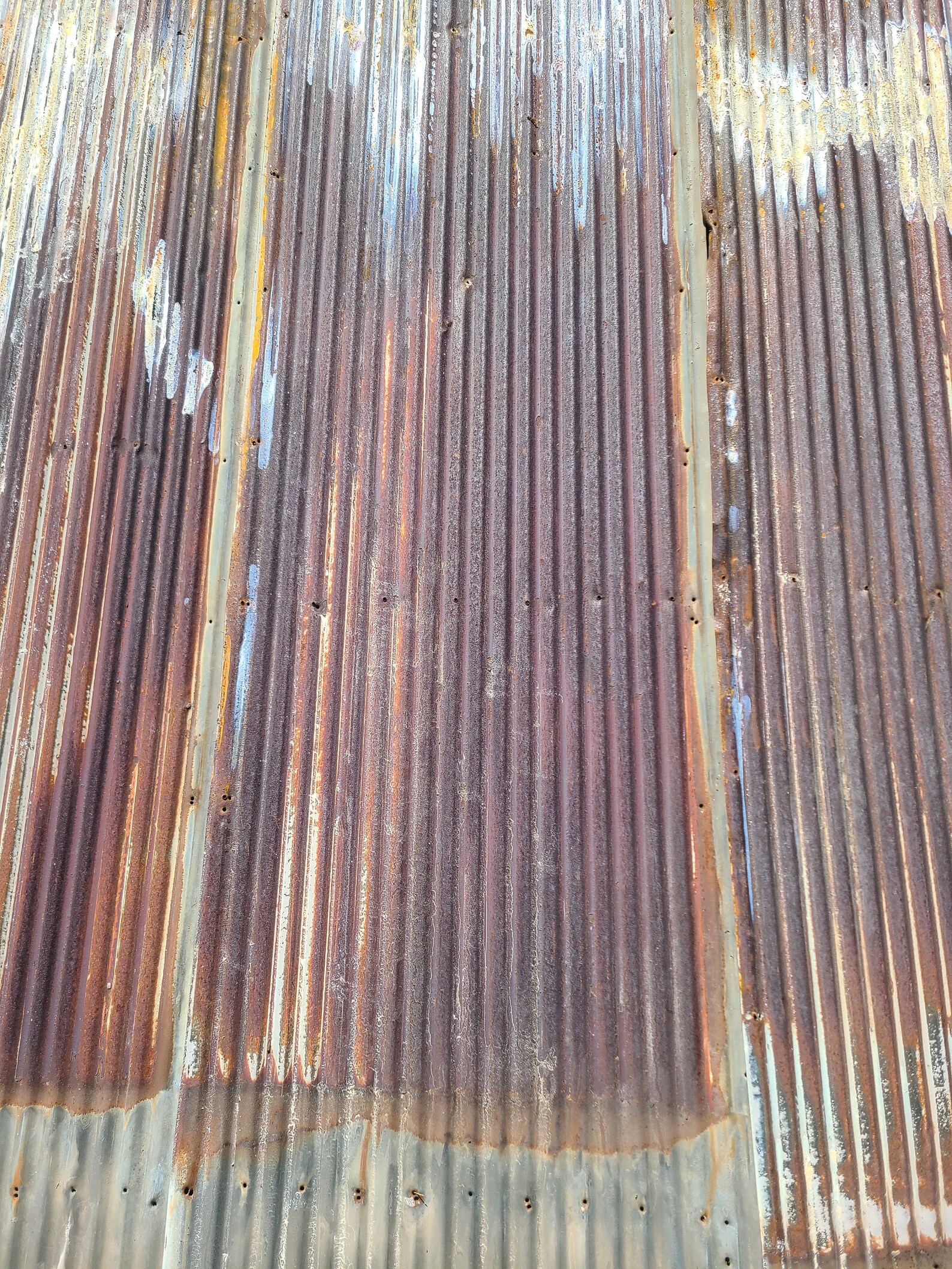 Chocolate Rust With White and Orange Reclaimed Corrugated Metal Roofing ...