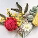 Let's Make Australian Wildflowers! Crochet Australian Wildflowers With ...