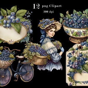 Blueberries Watercolor Clipart, PNG Clip Art Set, Digital Blueberry ...