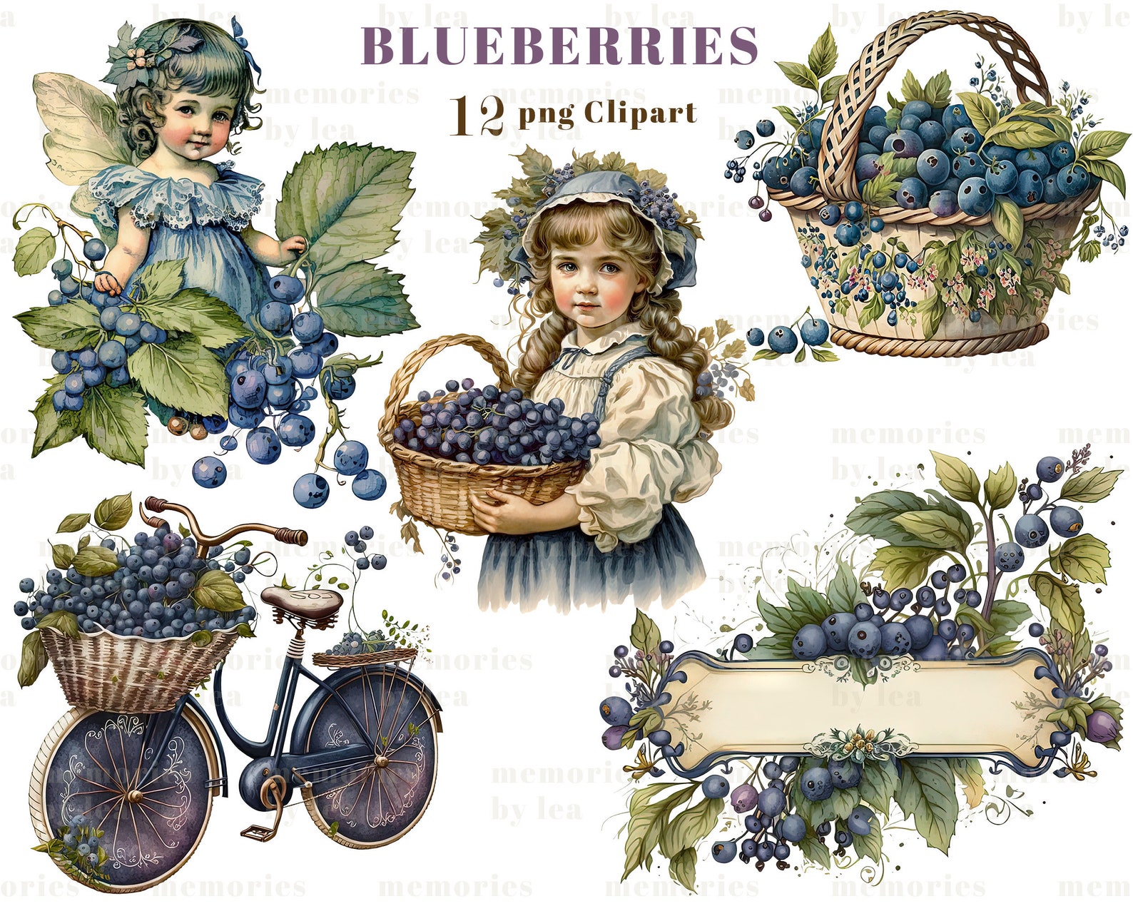 Blueberries Watercolor Clipart, PNG Clip Art Set, Digital Blueberry ...