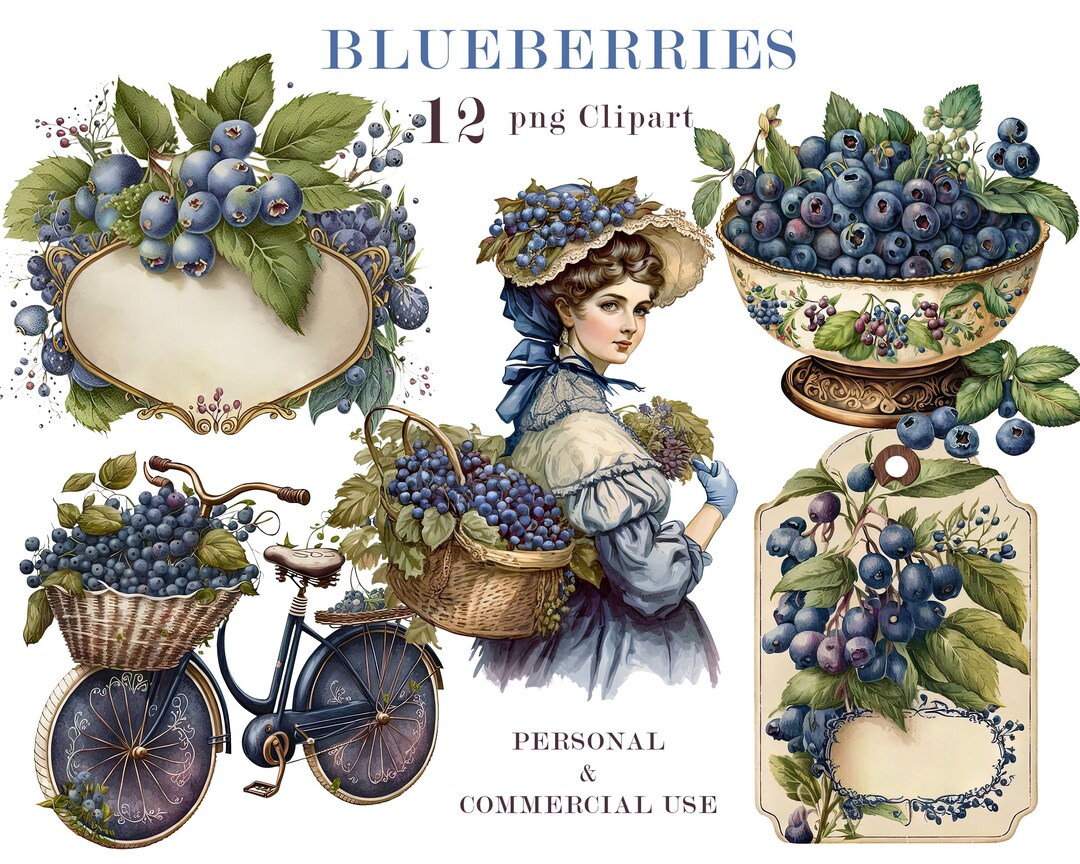 Blueberries Watercolor Clipart, PNG Clip Art Set, Digital Blueberry ...