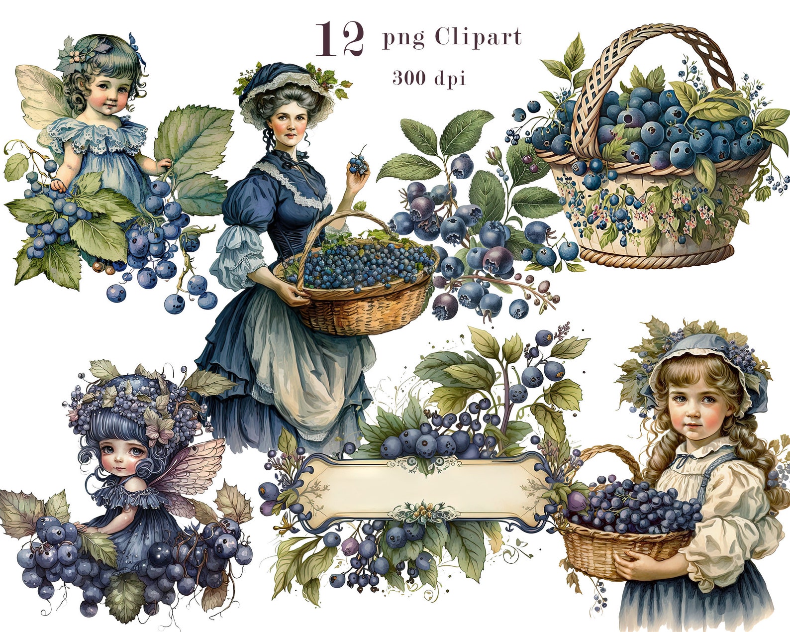 Blueberries Watercolor Clipart, PNG Clip Art Set, Digital Blueberry ...