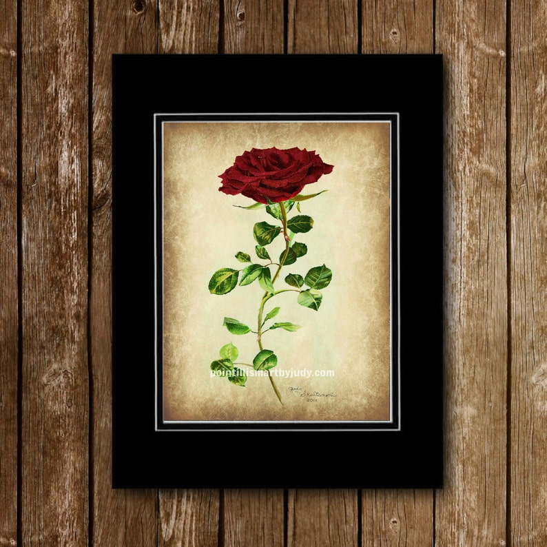 Red Rose Art Print - Etsy