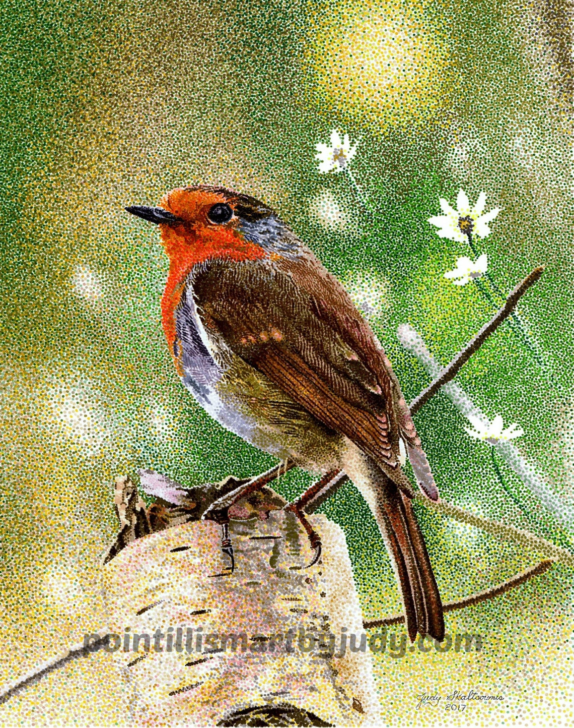 Little Robin Art Print - Etsy