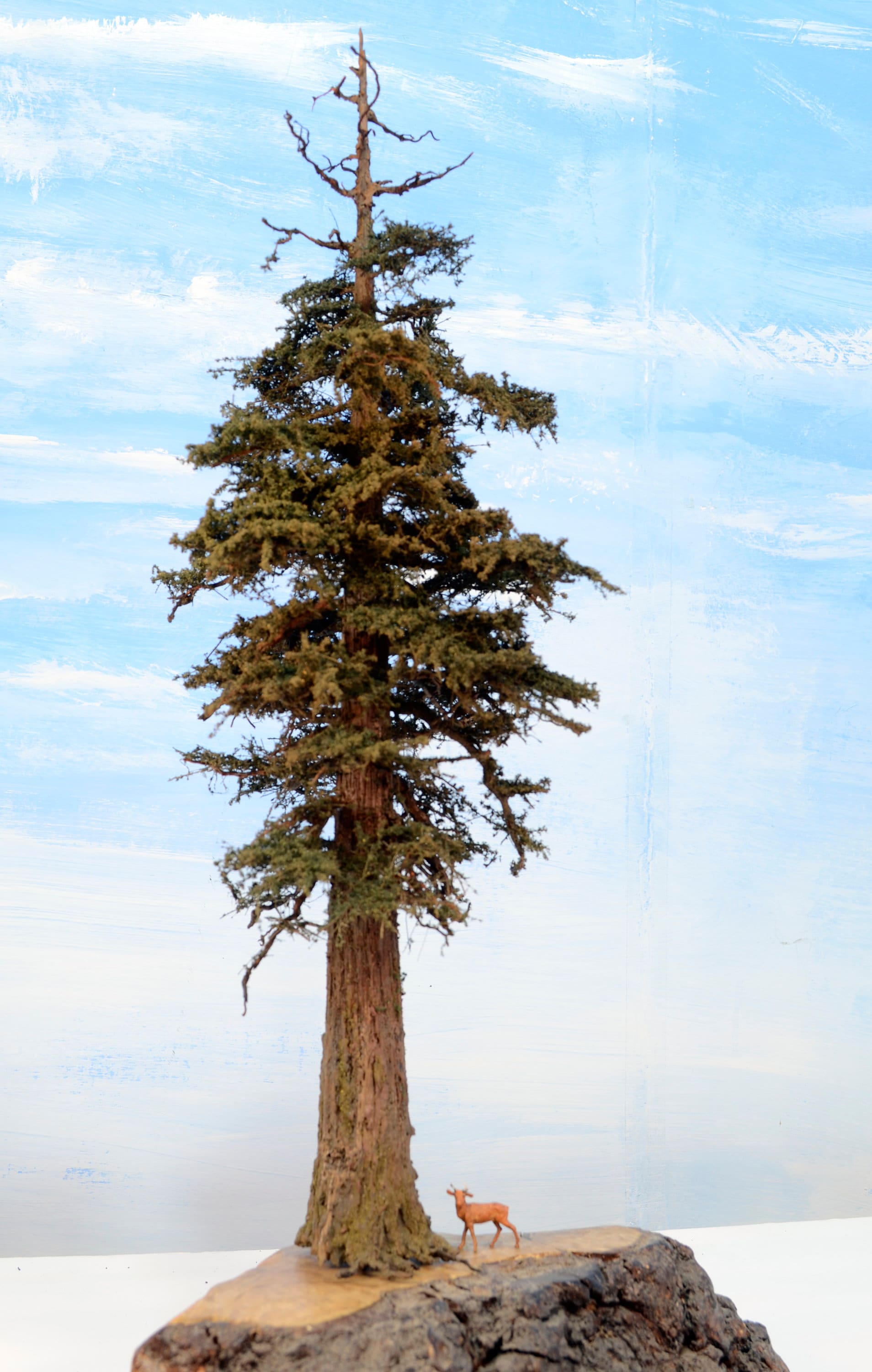 Redwood-sequoia Tree MODEL 16 Inches, Expert Model Scale Scenery, Star ...