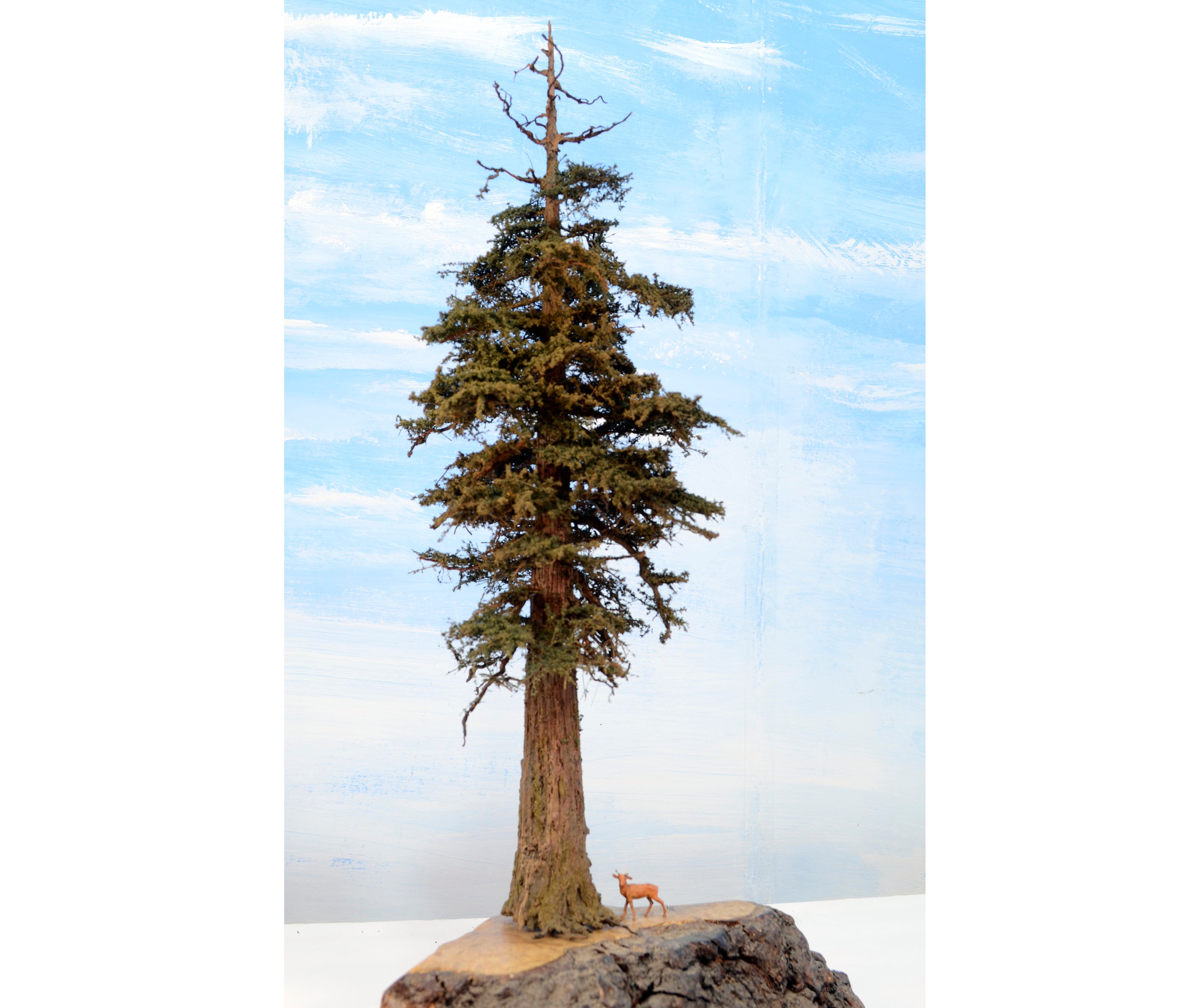 Redwood-sequoia Tree MODEL 16 Inches, Expert Model Scale Scenery, Star ...