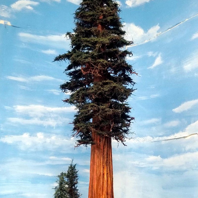 Redwood Sculpture - Etsy