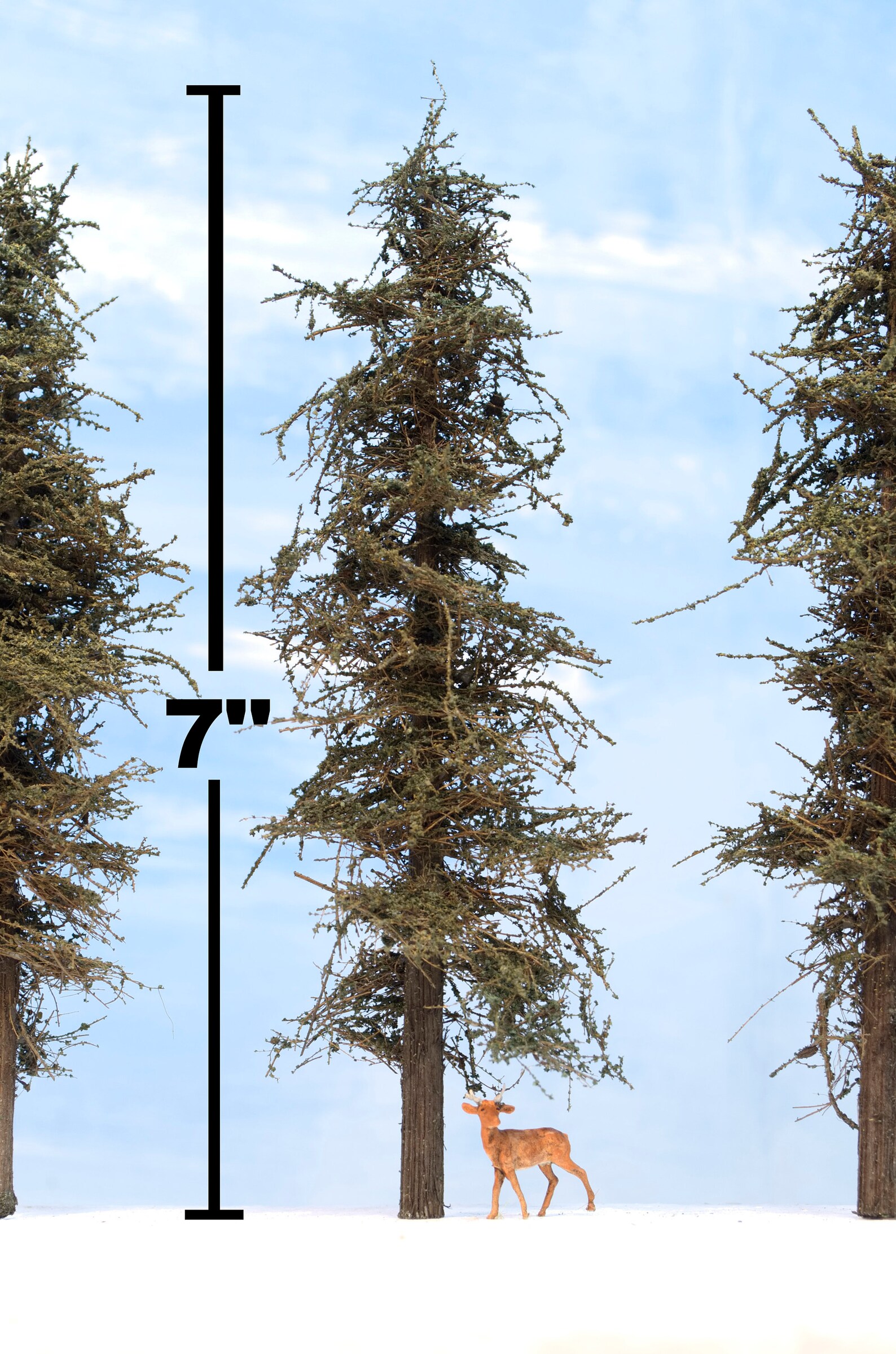 Realistic Model Trees, Forest Diorama, Miniature, Scene, Model Forest ...