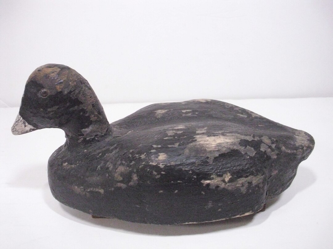 Antique/vintage Hand Carved Coot Decoy, Coot Decoy, Duck Decoy, Hand ...