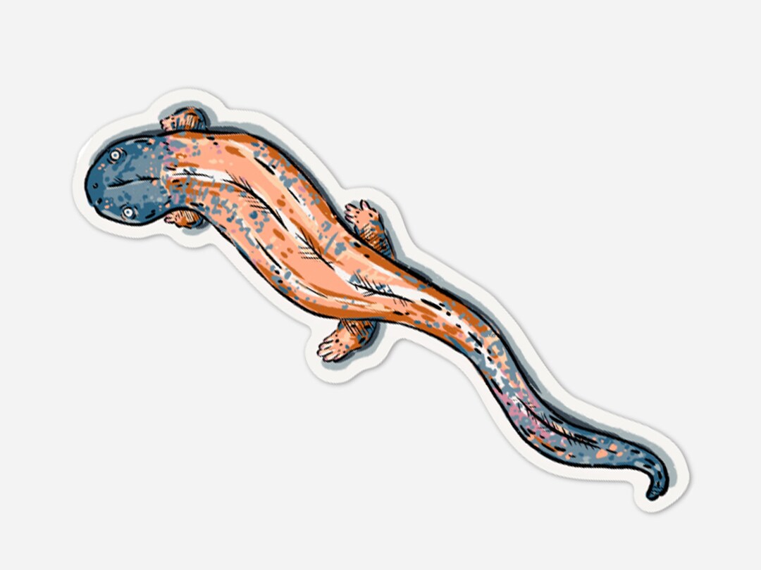 Hellbender Vinyl Sticker - Etsy