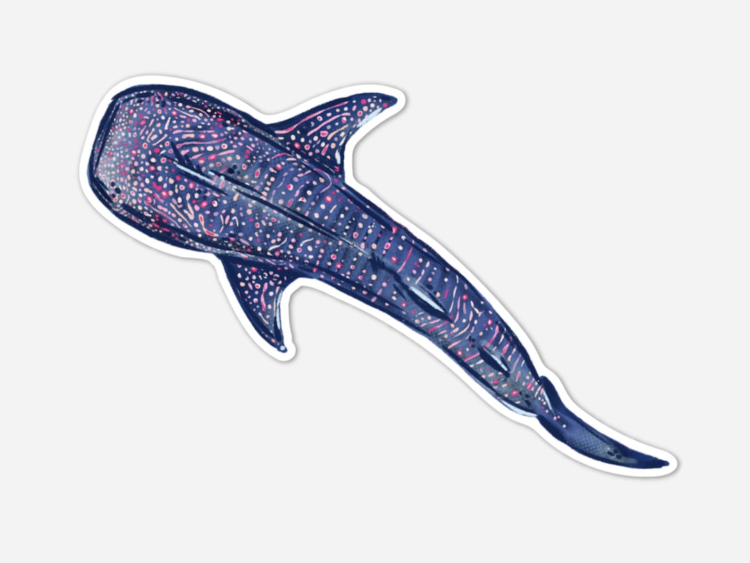 Whale Shark Vinyl Sticker - Etsy