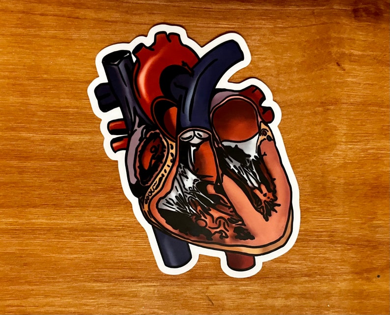 Anatomical Heart Die-cut Sticker Science Sticker Medical Gift 4x4 ...