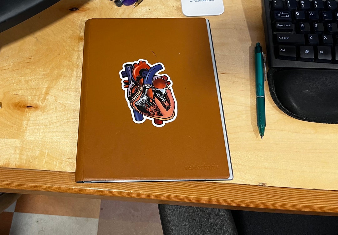 Anatomical Heart Die-cut Sticker Science Sticker Medical Gift 4x4 ...