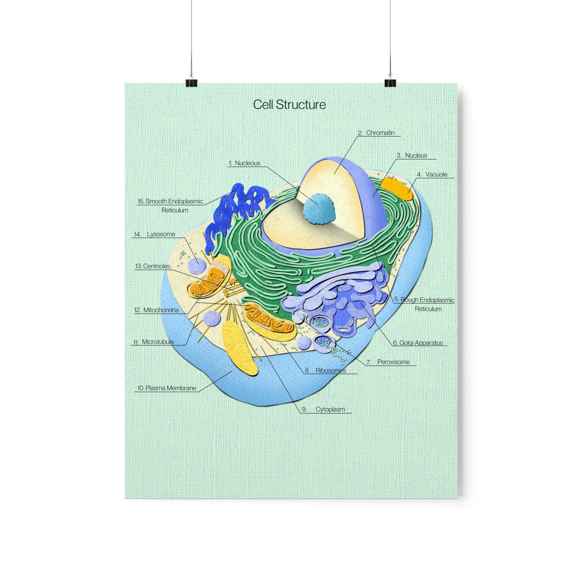 Cell Biology Wall Art - Labeled Science Poster - Science Classroom ...