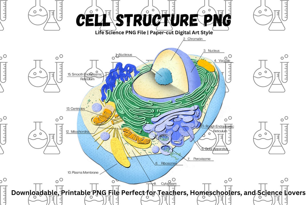 Science PNG File Labeled Cell Biology - Functional and Educational ...