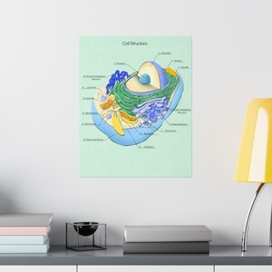 Cell Biology Wall Art - Labeled Science Poster - Science Classroom ...