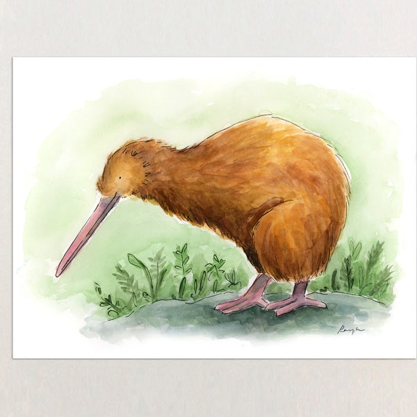 Kiwi Bird Art Print - Etsy