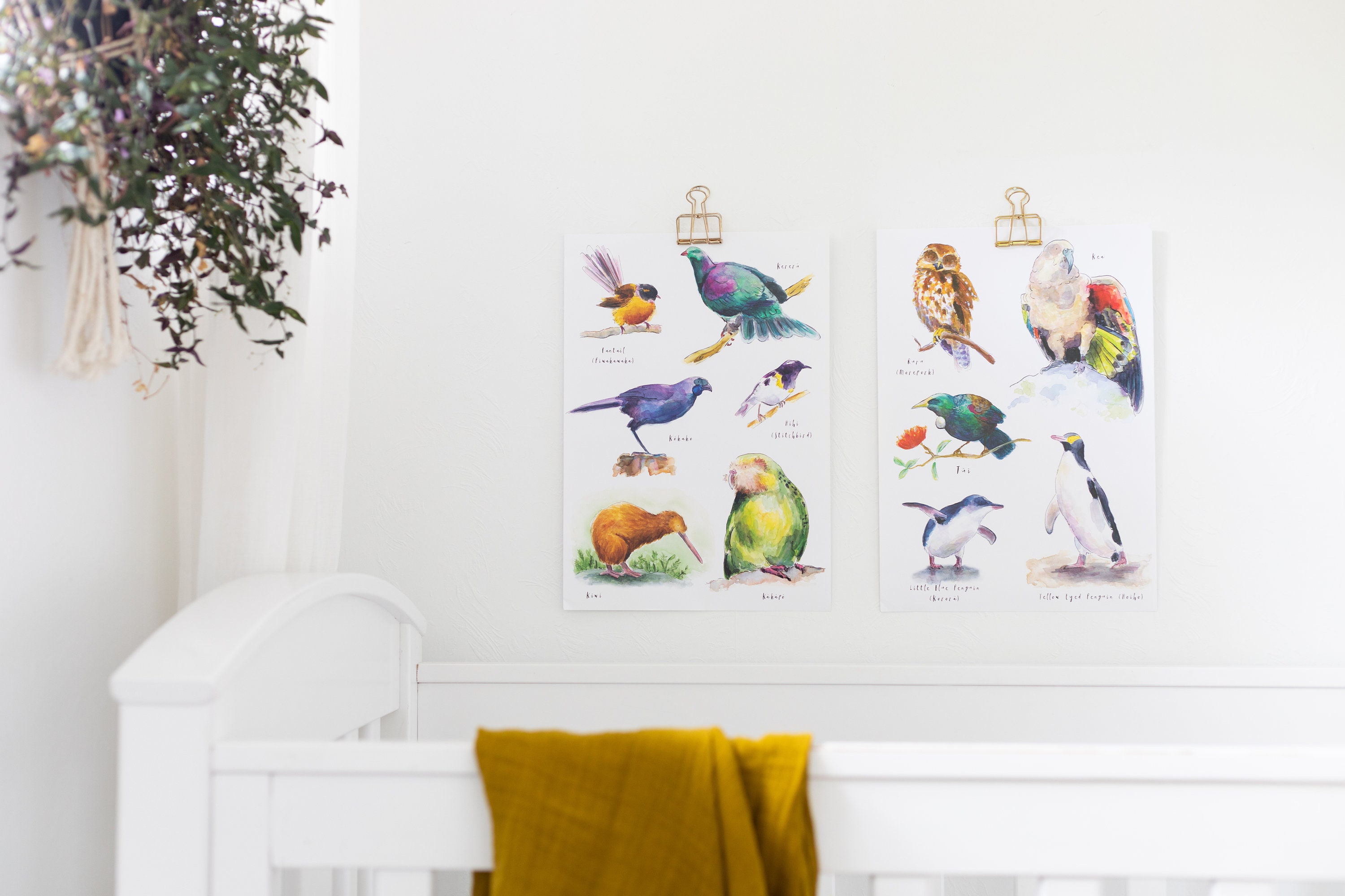 New Zealand Birds Watercolor Art Print: Kiwi, Kea, Penguin - Etsy