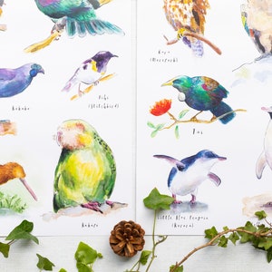 Birds of New Zealand Print #1 / New Zealand Birds / Kakapo / Kiwi ...
