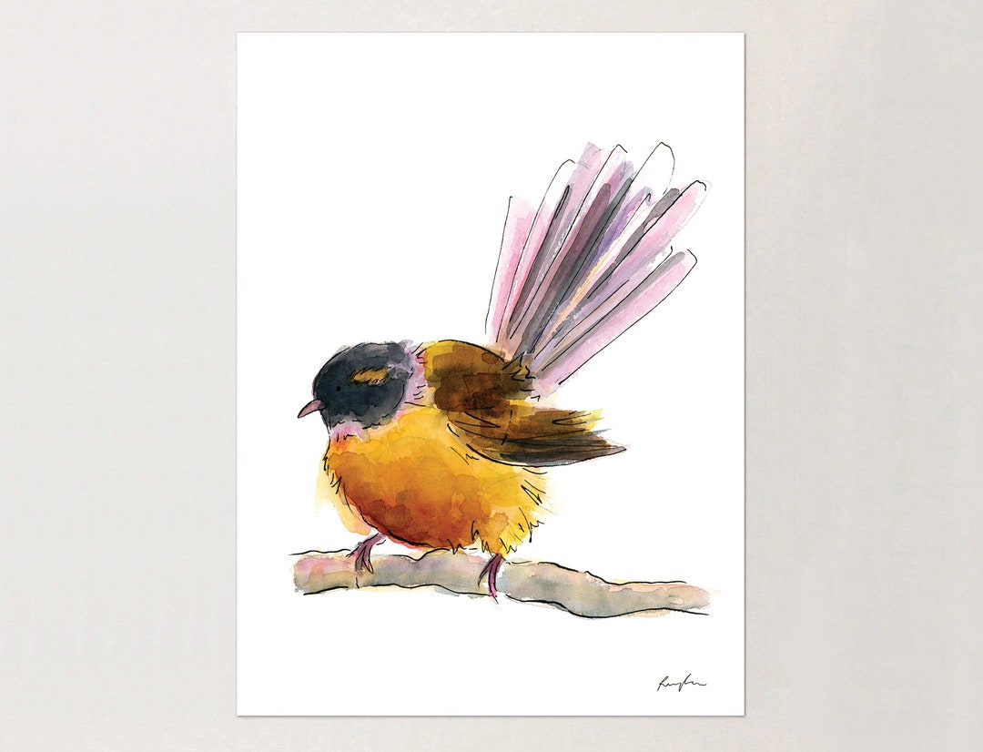 Fantail Watercolor Print NZ Bird Original Painting Illustration ...