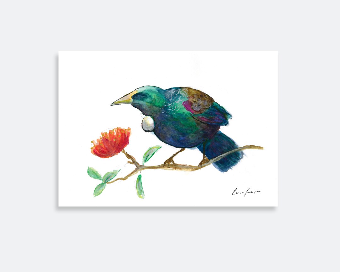NZ Tui Watercolor Print | Original Painting | New Zealand Bird ...