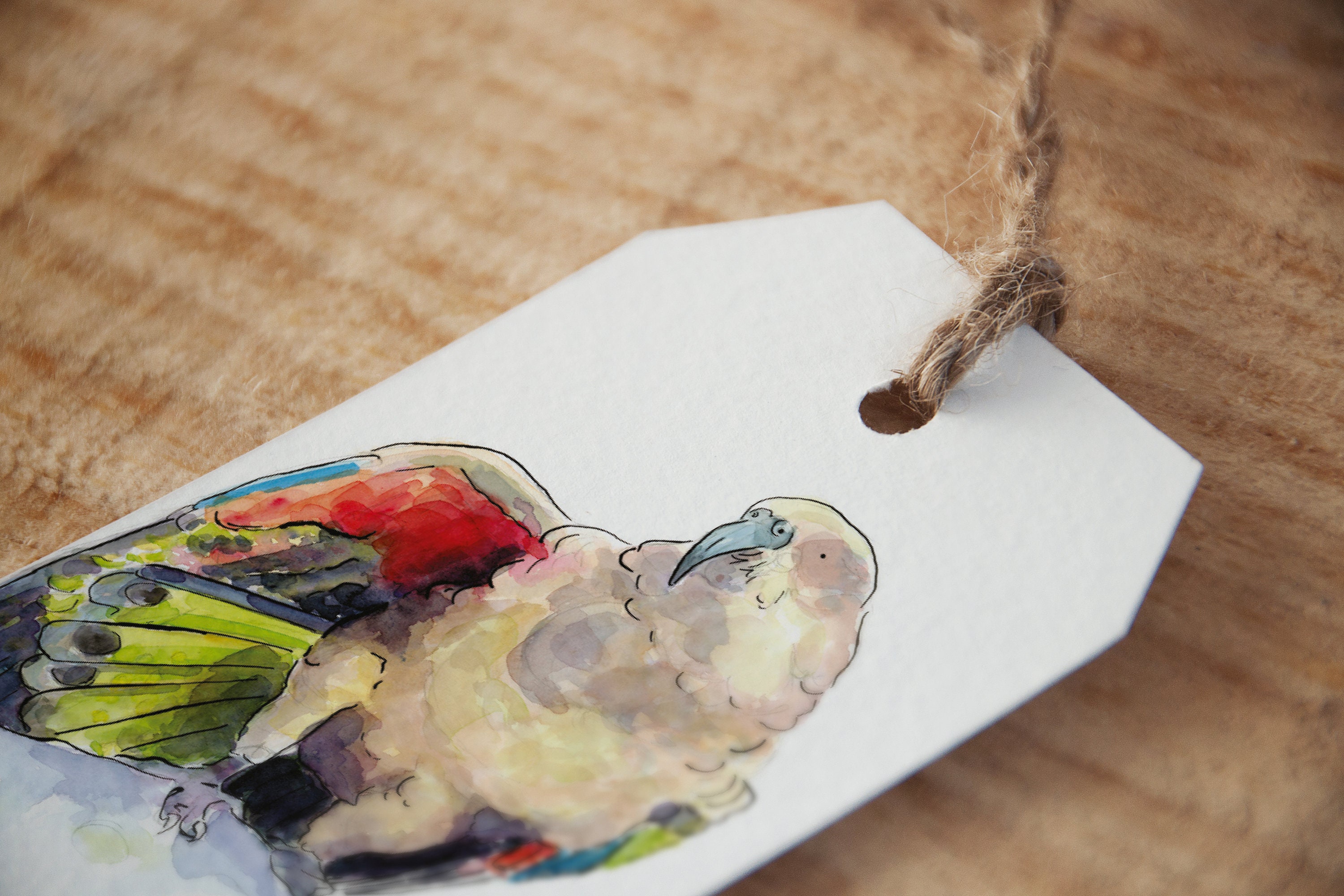 Printable Christmas Tags, NZ Birds, Holiday Gift Tags, Christmas Gift ...