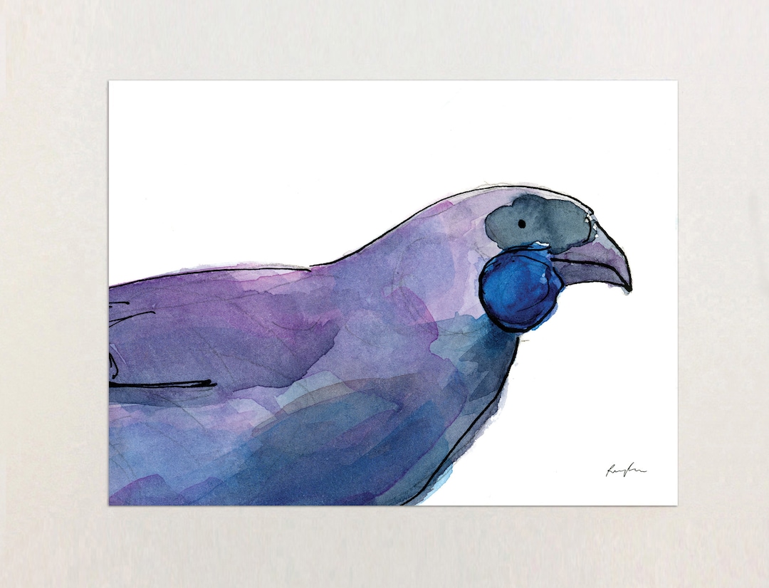 Kōkako / NZ Birds Illustration / Kokako / New Zealand Print / New ...
