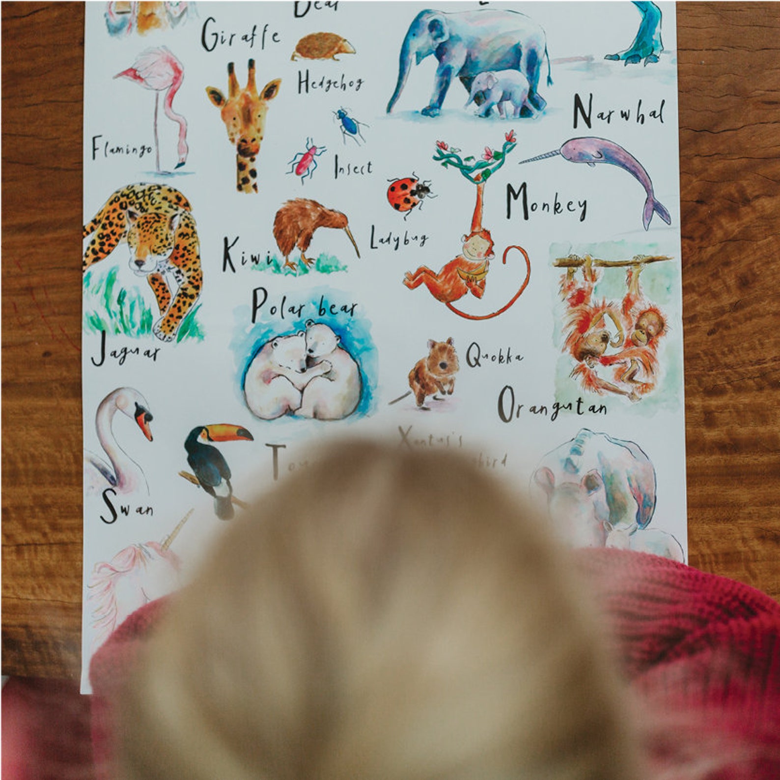 Alphabet Poster ABC Poster Alphabet Print Nursery Art | Etsy