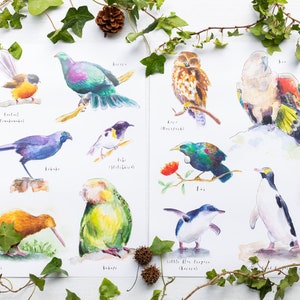 Birds of New Zealand Print #1 / New Zealand Birds / Kakapo / Kiwi ...
