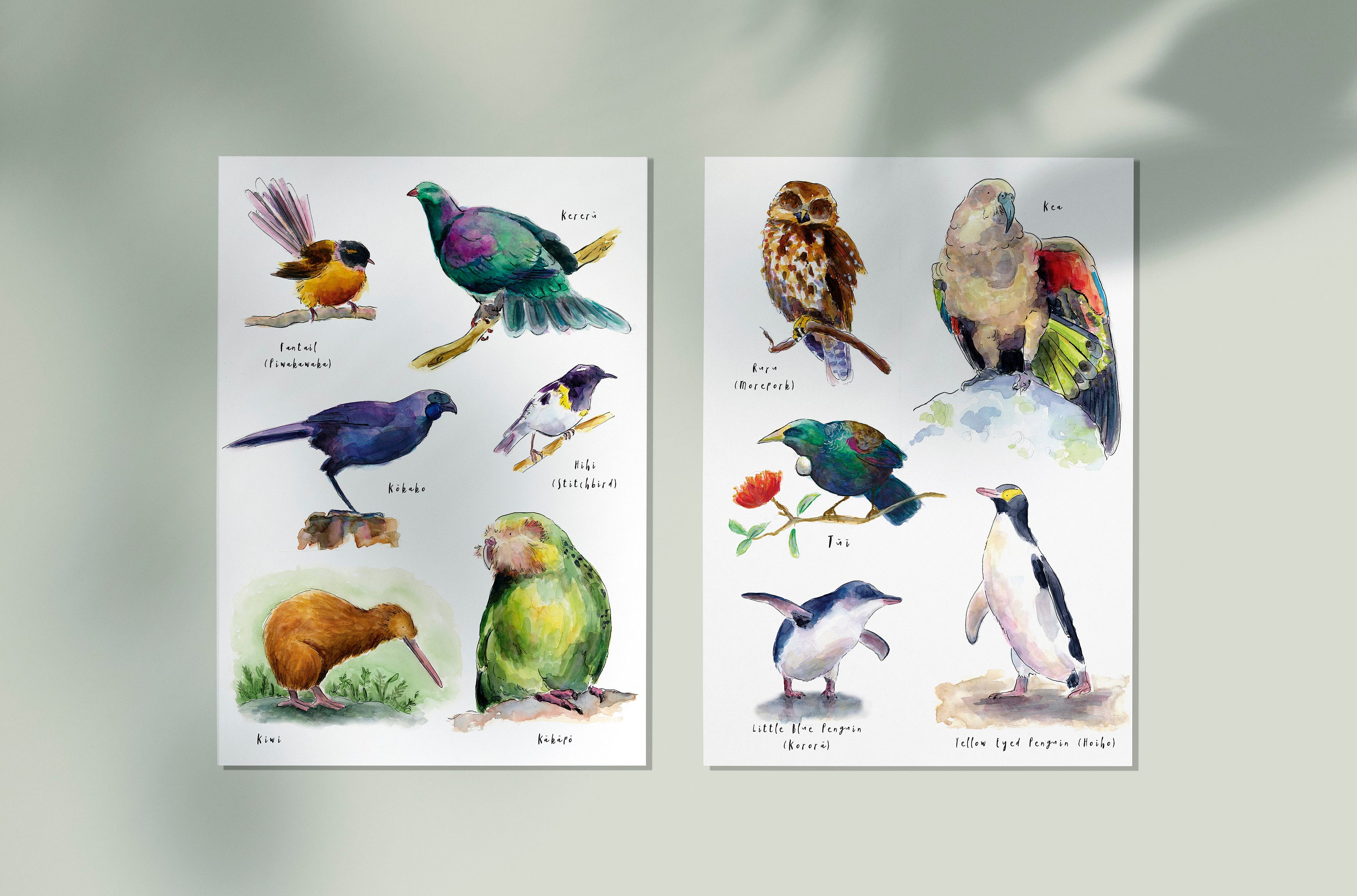 Birds of New Zealand Print 2 / New Zealand Birds / Kea / Kiwi - Etsy