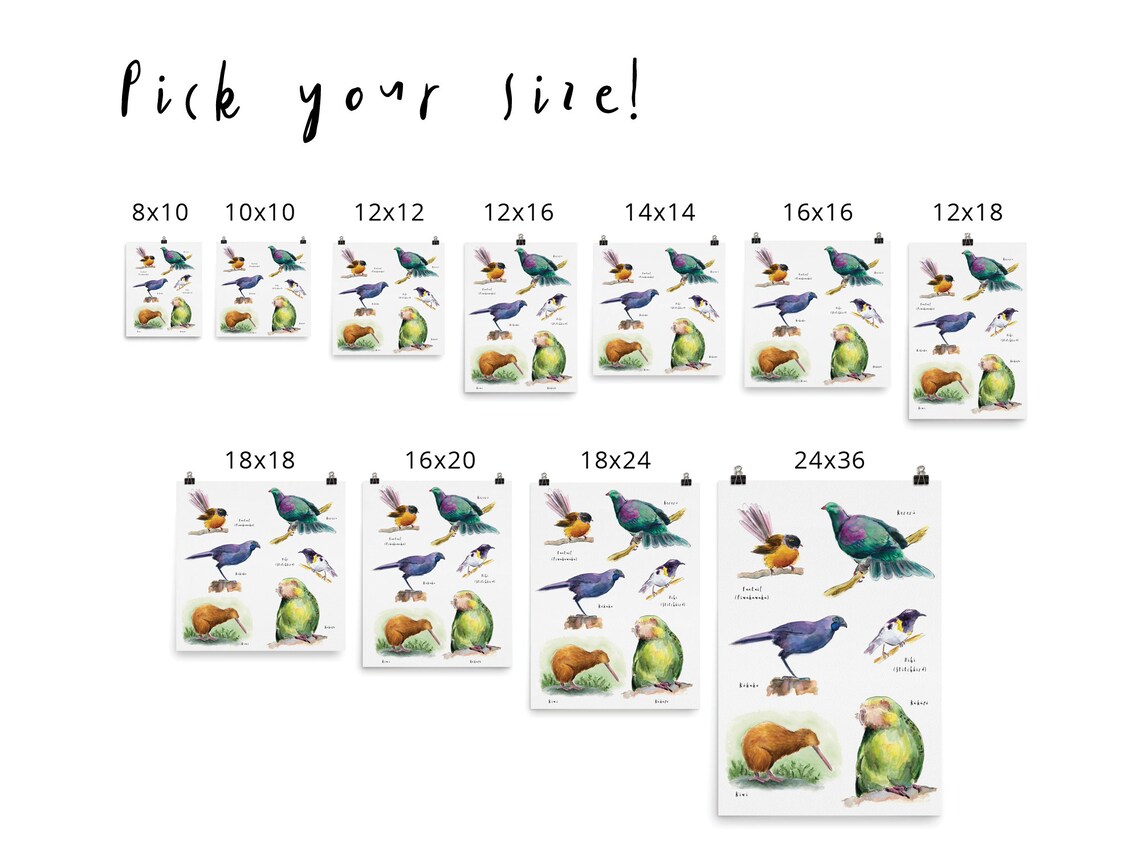 Birds of New Zealand print 1 / New Zealand birds / kakapo / | Etsy
