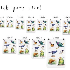 Birds of New Zealand Print #1 / New Zealand Birds / Kakapo / Kiwi ...