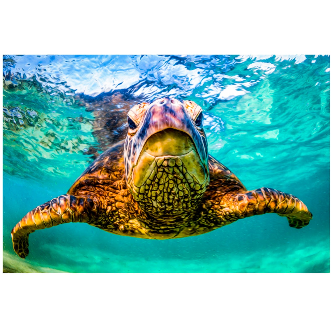 Hawaiian Green Sea Turtle Fine Art Print Titled | Etsy