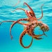 Aluminum/canvas Fine Art Image of Hawaiian Octopus (tako) Titled ...