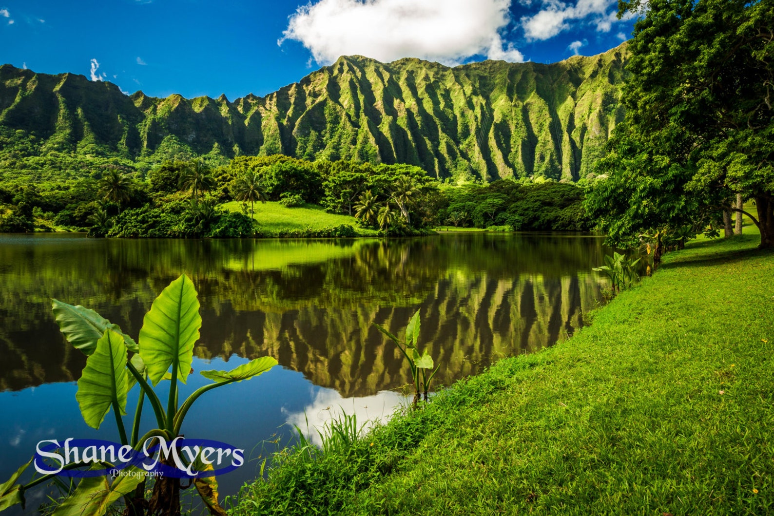 Scenic Hawaii Fine Art Print Titled peace on - Etsy