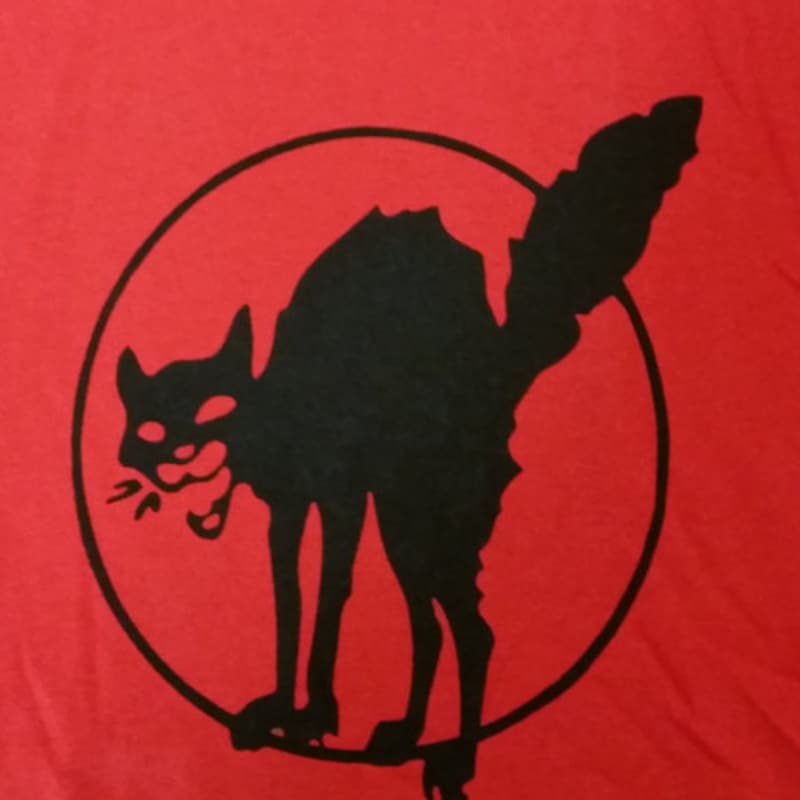 Anarchist Cat - Etsy