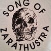 SAETIA T-shirt hardcore, Punk, Emo Band - Etsy