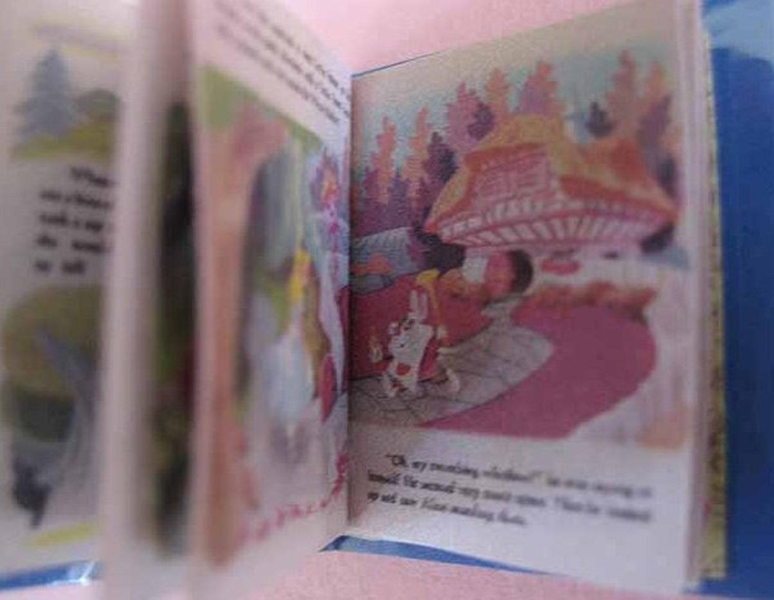 Children's Book Alice in Wonderland Meets the White Rabbit - Etsy