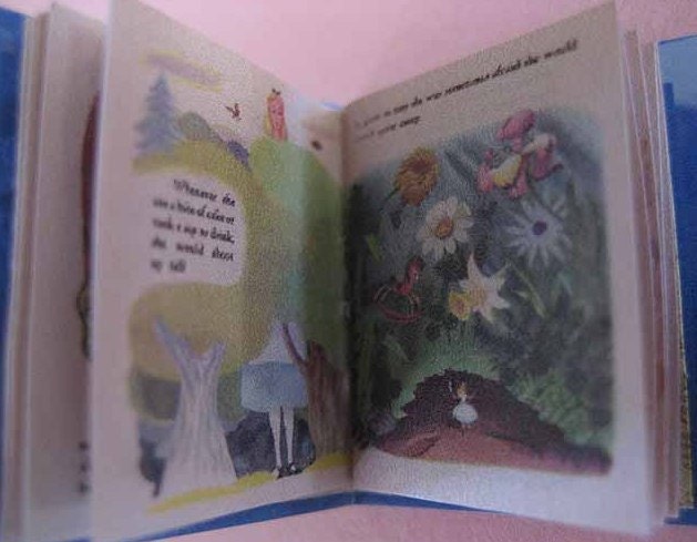 Children's Book Alice in Wonderland Meets the White Rabbit - Etsy