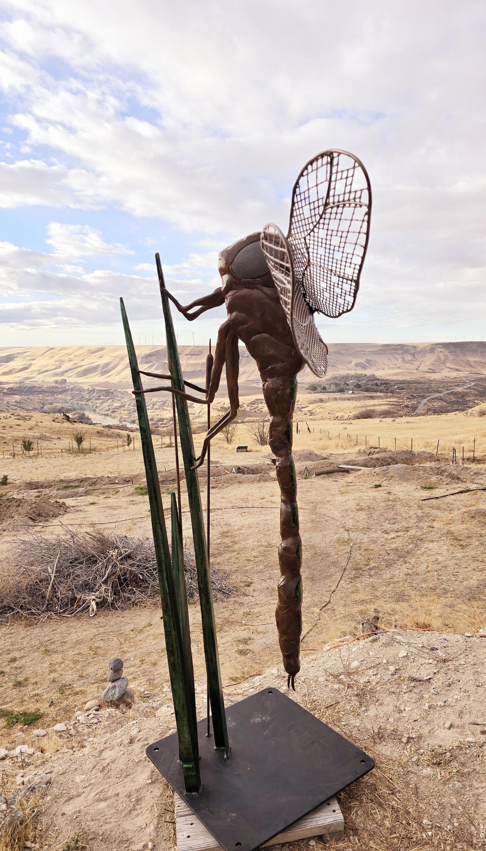 Made to Order Outdoor Metal Dragonfly Sculpture Custom Made by Jacob ...